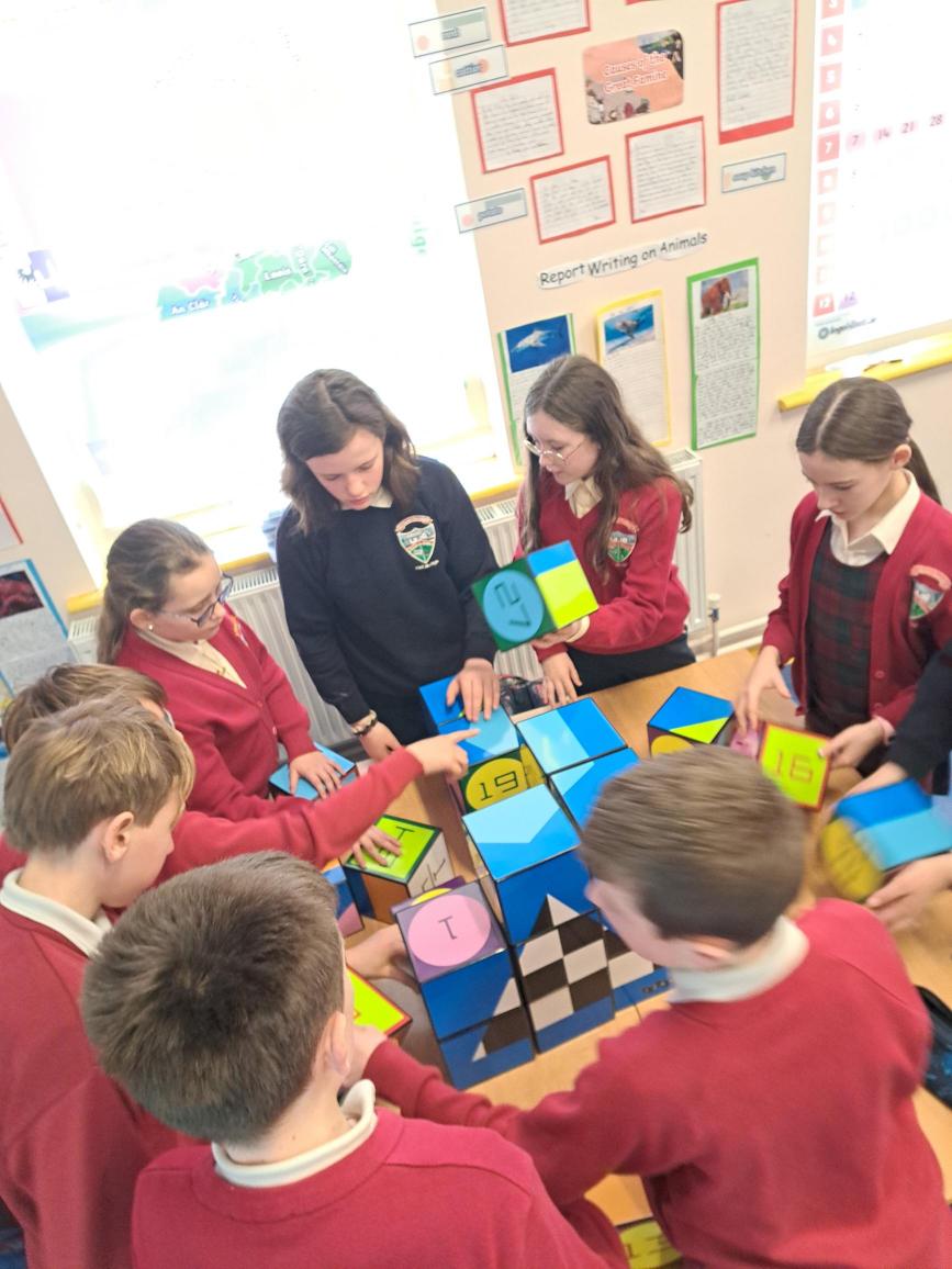 Home - Buaile Beag N.S