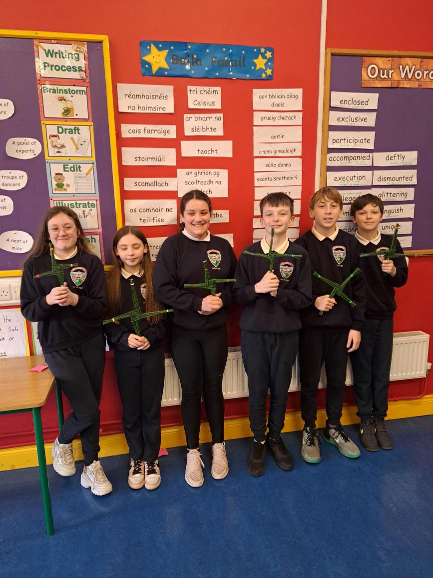 Home - Buaile Beag N.S